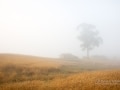 portugal Archives | David C Schultz, Photography