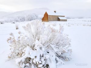 Park City Photography Lessons | David C Schultz, Photography